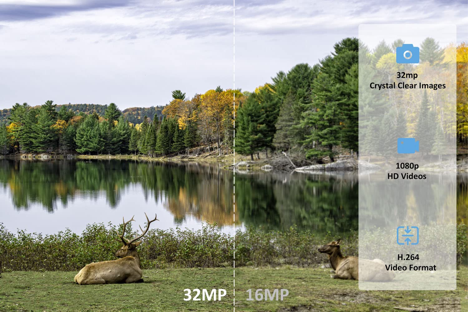 Meidase Cellular Trail Camera S950, Game Camera with 4G LTE, Clear 100ft No Glow Night Vision, Sends Picture to Cell Phone App