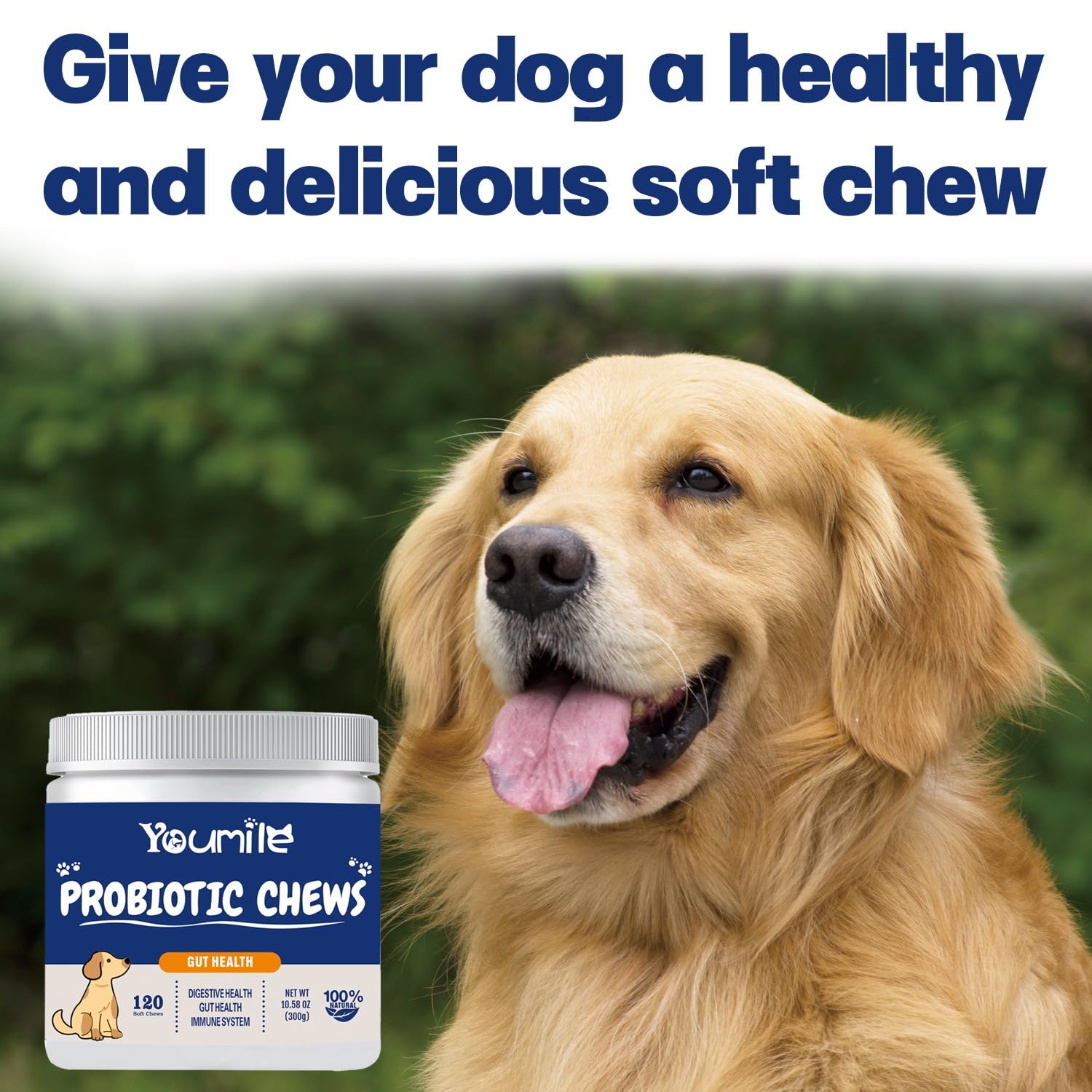 SMASUPT Probiotic Chews for Dogs, 120 Soft Chews, 10.58 oz, Gut Health, Digestive Health, Immune System