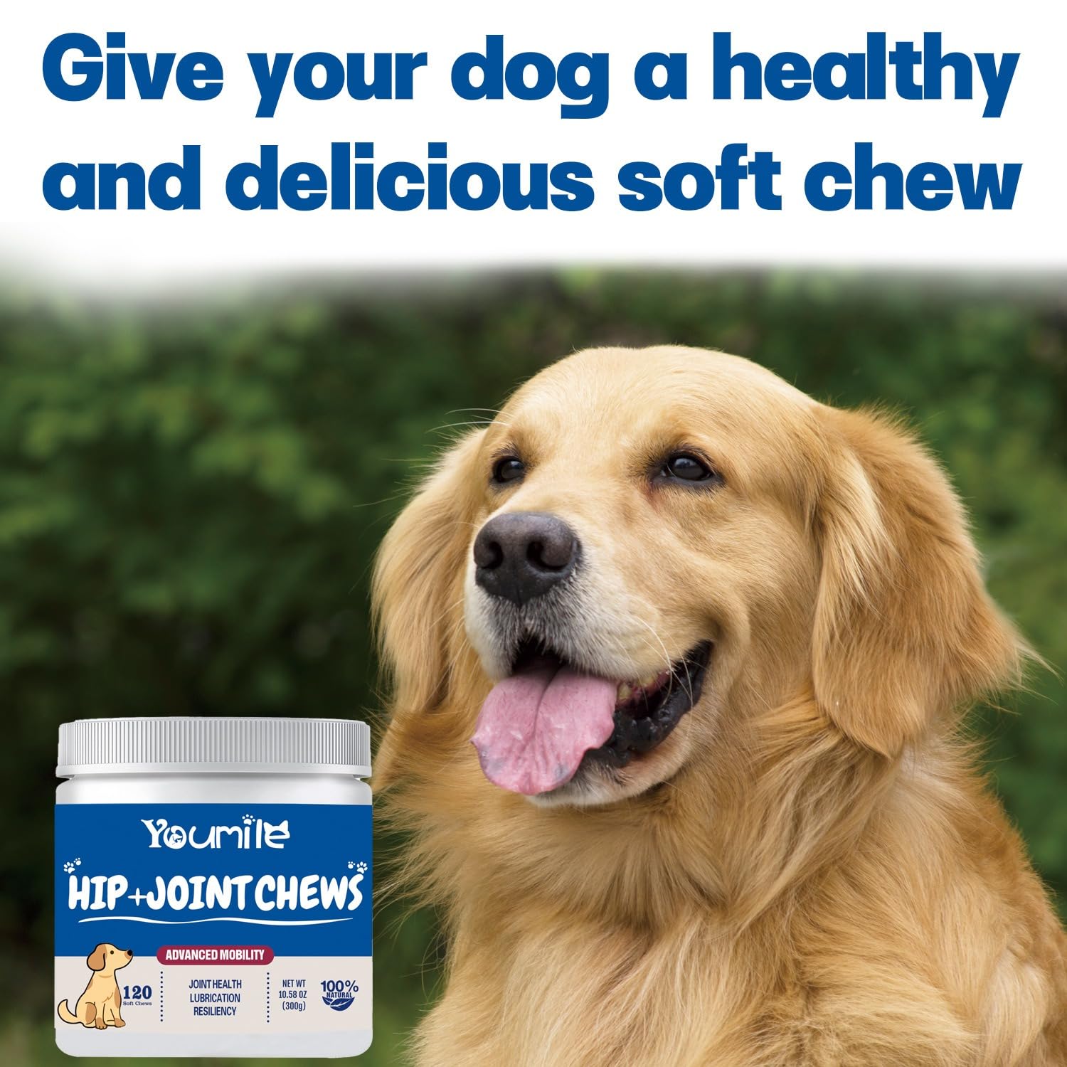 SMASUPT Pets Hip + Joint Chews for Dogs Advanced Dog Joint Supplement Healthy Mobility Treats 120 Count