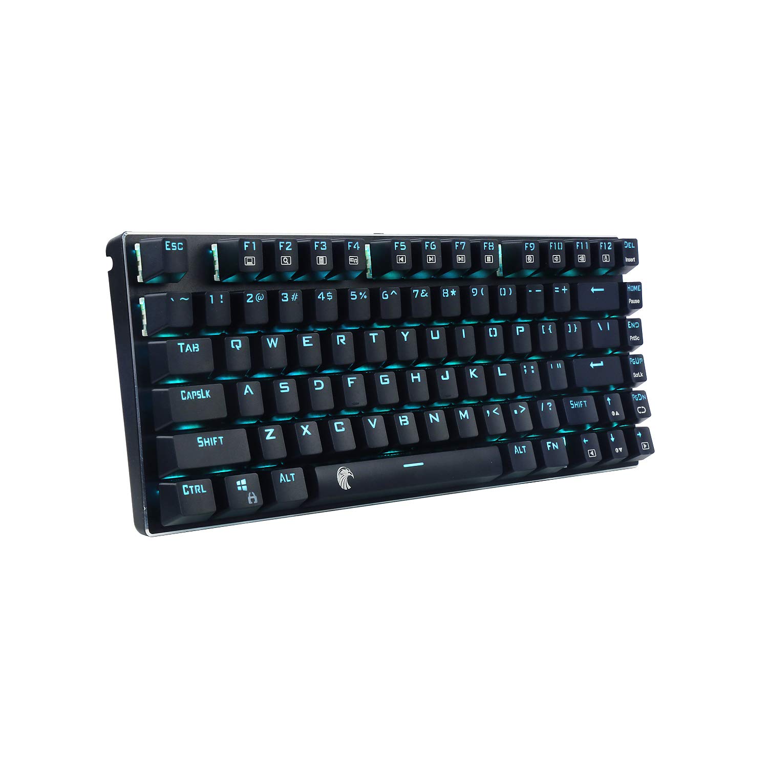 HUO JI 60% Mechanical Gaming Keyboard, E-Yooso Z-88 with Blue Switches, Cyan LED Backlit, Compact 81 Keys for Mac, PC, Black