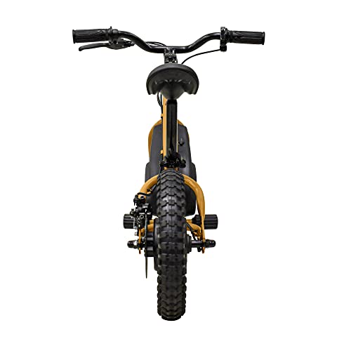 Massimo Motor E-11 Electric Bike for Kids 150 Watt, Age 3-8 yrs, 12in Wheels, Throttle Accelerate Adjustable Seat (Orange)