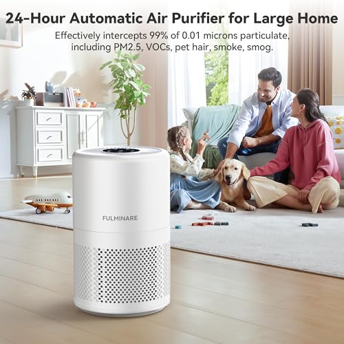 Original FULMINARE T10 Air Purifier Replacement Filter, 3-In-1 Filter, Efficiency Activated Carbon, Filtering Out 99.99% 0.01 Microns, Smoke, Pollen, Particles