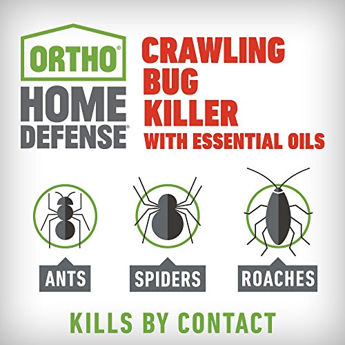 Ortho Home Defense Crawling Bug Killer with Essential Oils 0.5 gal.