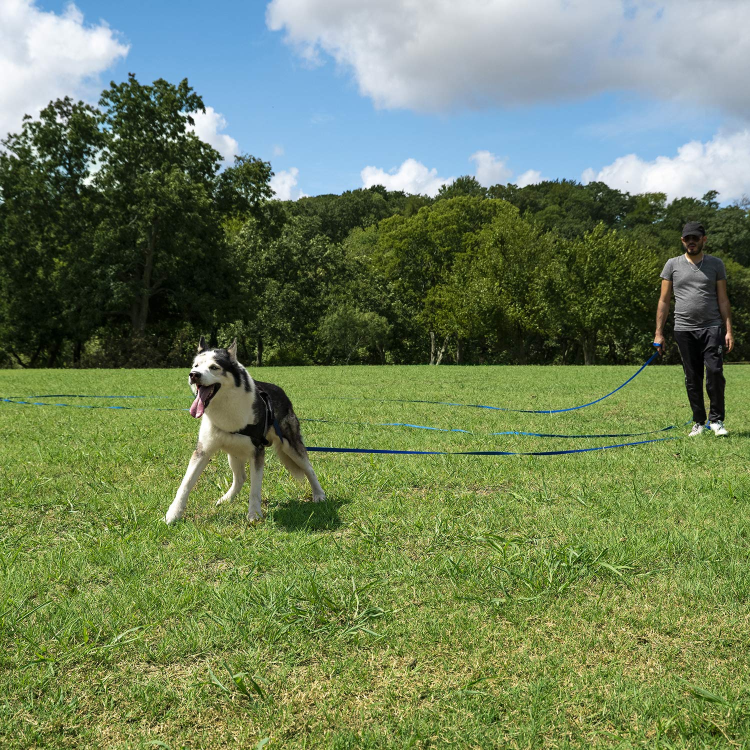 Hi Kiss Dog/Puppy Obedience Recall Training Agility Lead - 15ft 20ft 30ft 50ft 100ft Training Leash - Great for Training, Play, Camping, or Backyard Blue 15 Feet