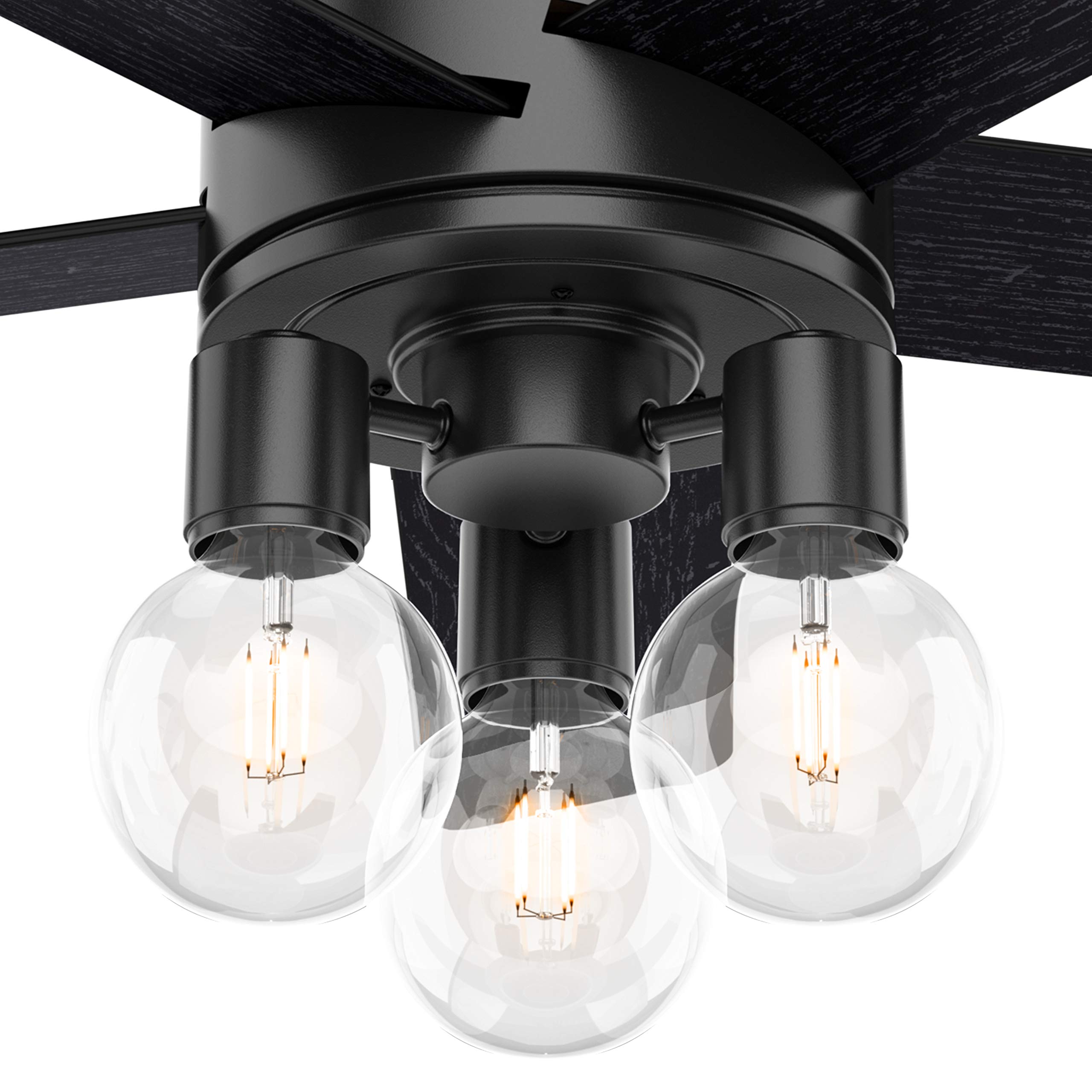 Hunter Fan 52 inch Contemporary Matte Black Indoor Ceiling Fan with Light Kit and Remote Control (Renewed)
