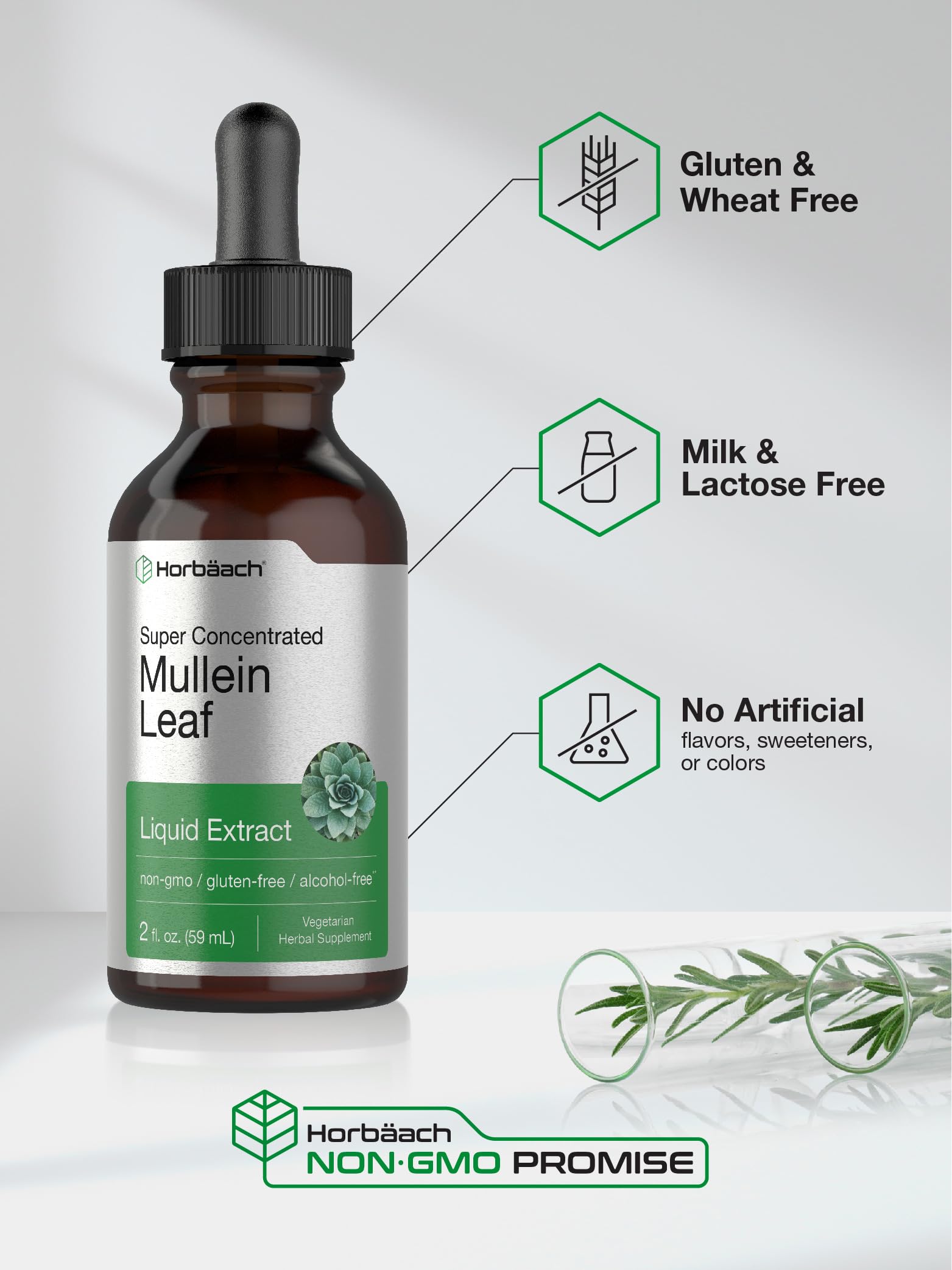 Horbäach Mullein Leaf Tincture Drops | 2 fl oz | Alcohol Free Liquid Extract | Vegetarian, Non-GMO & Gluten Free Herbal Supplement