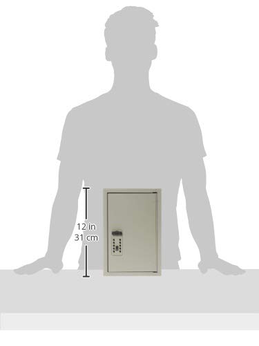 Kidde 001795 Combination TouchPoint Entry Key Locker, Clay, 30