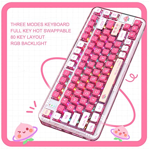 Sanpyl Mechanical Keyboard, 2.4Ghz Noise Reduction Pink Type C Wired Keyboard, 3750mAh Battery 2 Layer Keycaps Wireless Gaming Keyboard, with RGB Backlight for iOS for Windows