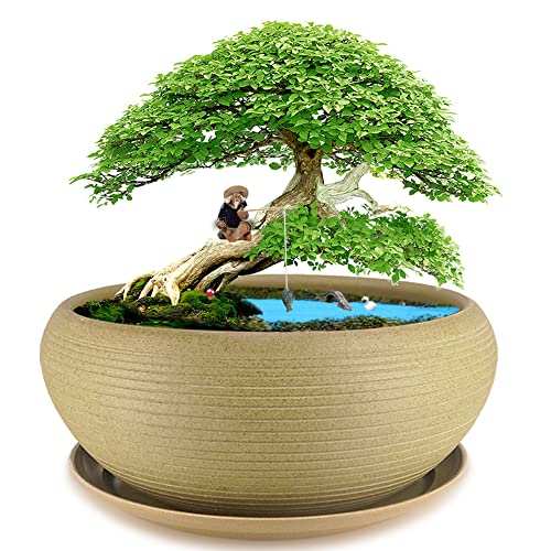 MUZHI 10” Round Large Ceramic Bonsai Bowl Planter,Clay Succulent Plant Pot Container with Saucer
