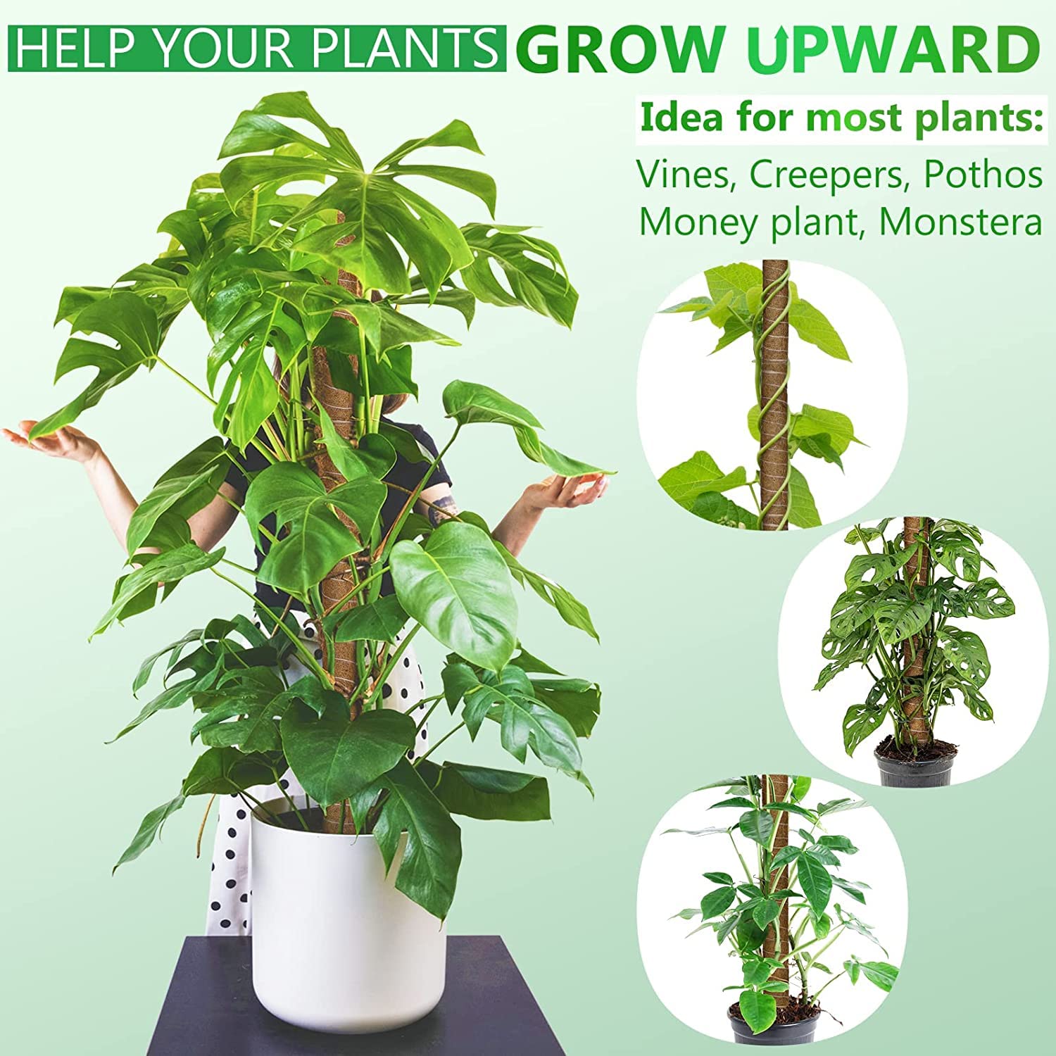 Moss Pole 56 Inch, 4 Pcs Moss Pole Monstera Plant Support, 17.7 Inch Coir Totem Pole Moss Stick for Climbing Plants Indoor Monstera Extension, Train Potted Creepers to Grow Upwards, 65 Feet Twist Tie