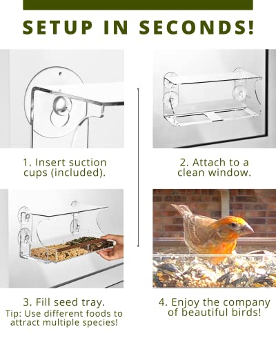 Nature's Envoy Window Bird Feeder β Clear View for Birdwatching - Strong Suction Cups for Outside - Slide Out Seed Tray w/Drain Holes for Easy Refill & Clean - Acrylic Outdoor Feeder for Wild Birds