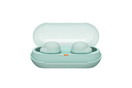 Sony WF-C500 True Wireless Headphones - Up to 20 Hours Battery - Charging case - Voice Assistant Compatible - Built-in mic for Phone Calls - Reliable Bluetooth - Mint Green