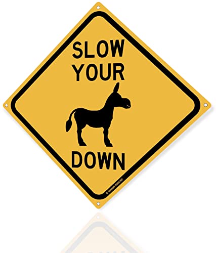 Slow Your Ass Down 12" x 12" Funny Tin Road Sign Driver and Motorist Alert Protect Neighborhood Children Home Decor