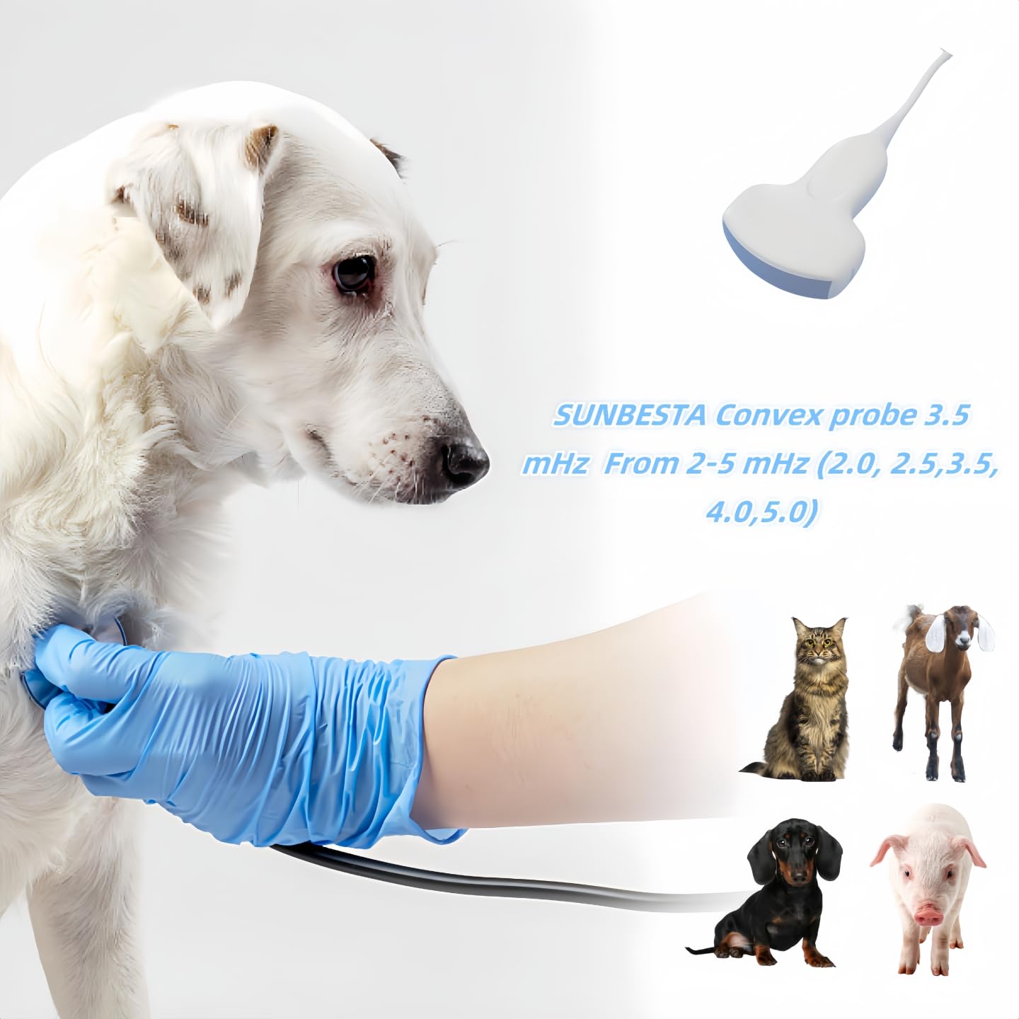 SUNBESTA A20 Veterinary Ultrasound Machine for Pregnancy, at Home Ultrasound for Dogs, Cats, Pigs, Sows, Sheep, and Goats Pregnancy Check (Convex Probe)