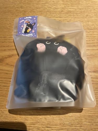 RIIZE RIIZING Day Soul Con Penlight Cover Wongbin