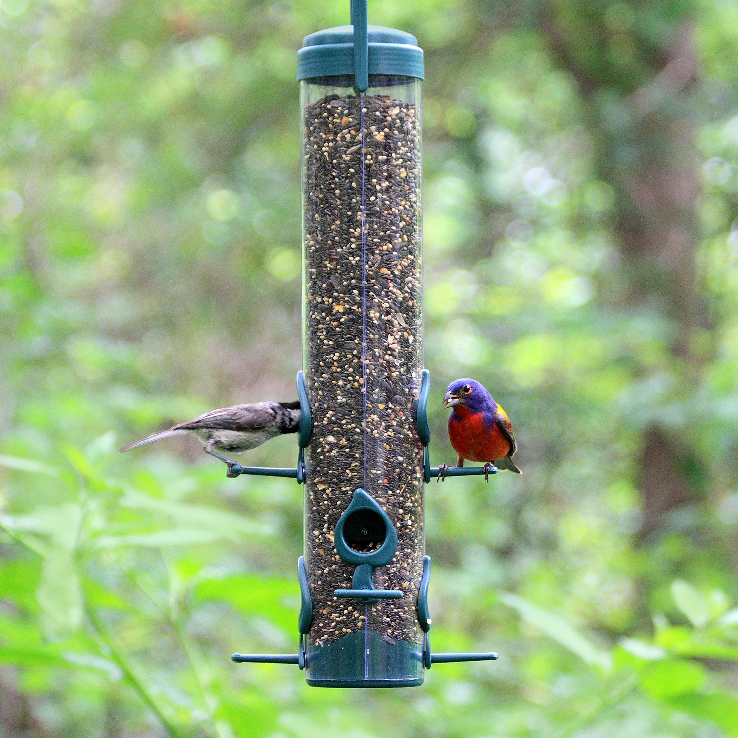 Perky-Pet 480 Classic Hanging Wild Bird Feeder β 1.75 lb Seed Capacity