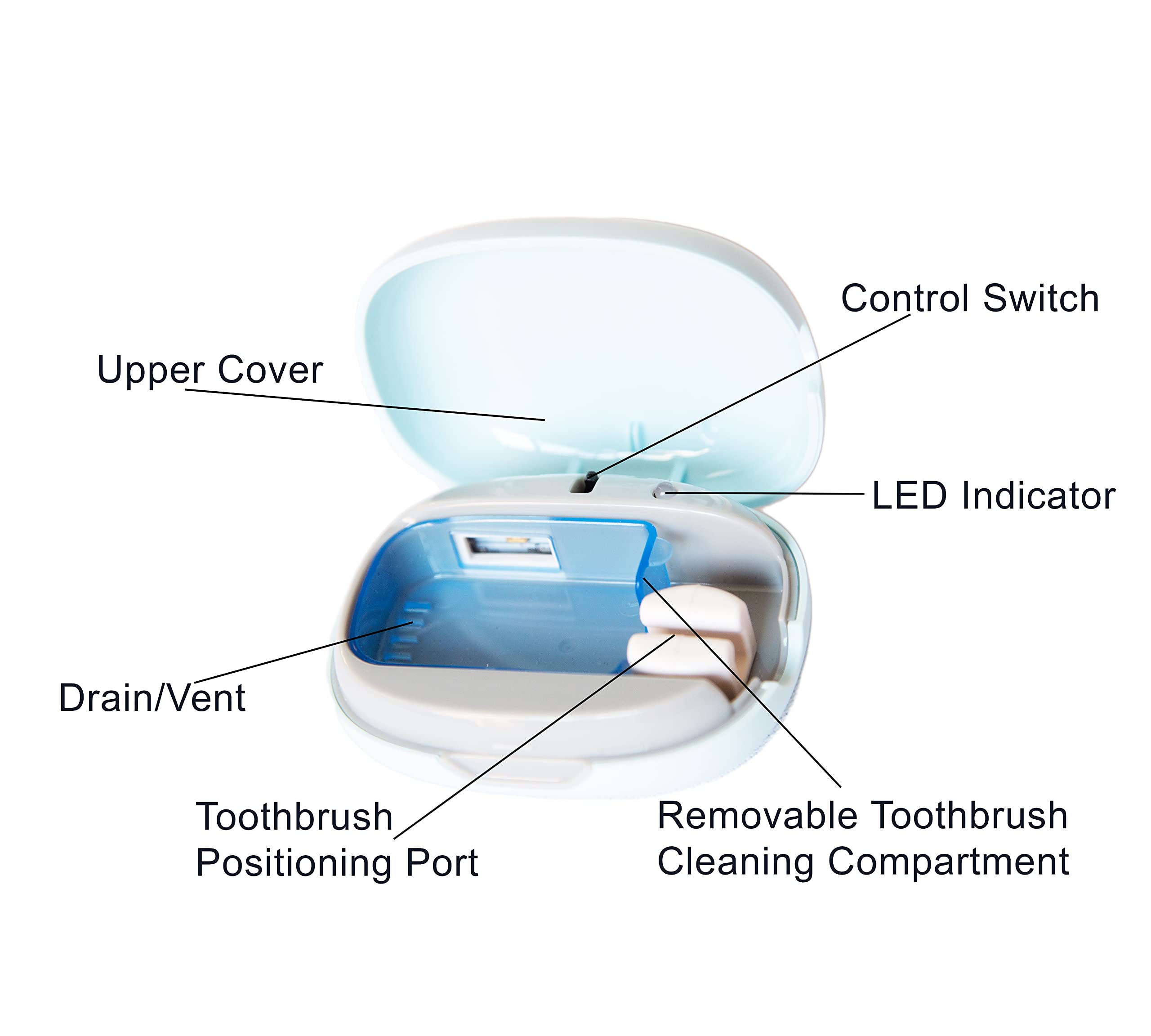 PHYRE Toothbrush Covers with Holder - Rechargeable Travel Home Toothbrush Cleaner Case for All Electric and Manual Toothbrushes Green