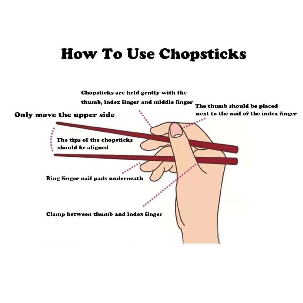 Limoer Reusable Chopsticks Non-Slip Chop Sticks Set Fiberglass Chinese Japanese Style, 5 Pairs Different colors 9.8 Inch, Multicolor (CP0001-9.8)