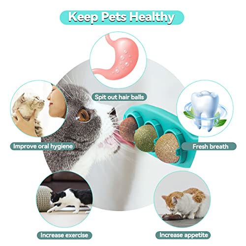Petslucent 3in1 Cat Catnip & Silverine Balls Wall Toys for Indoor Cats (Blue)