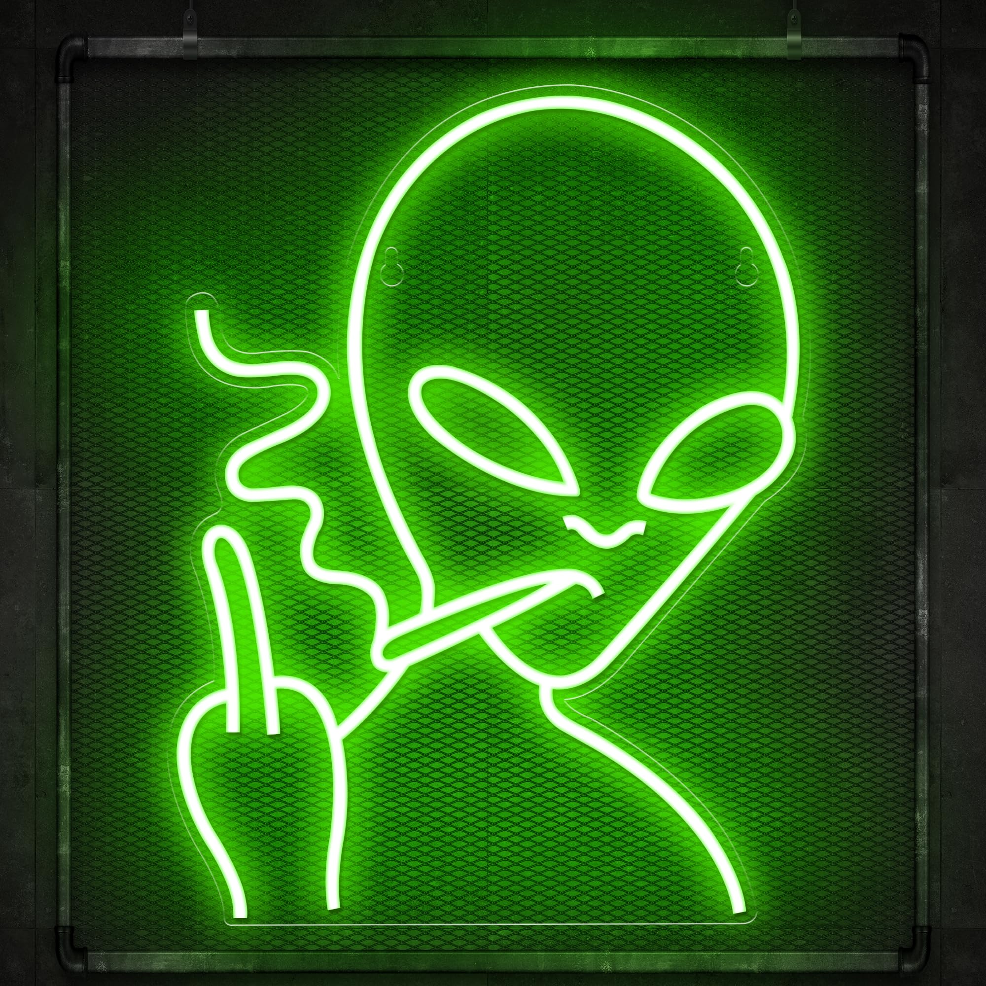Kavaas Alien Neon Sign, Green Smoking Alien LED Light for Game Room, Party, Bar, Man Cave Decor | Alien Light Wall decor - Best Gifts for Alien Fans, Teenage Boys, Kids (Style - Alien1)
