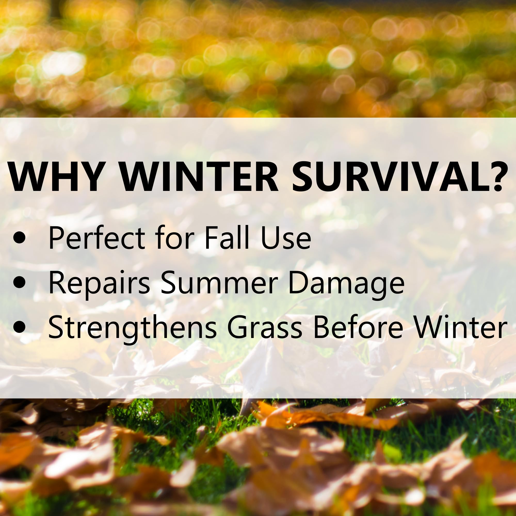 Jonathan Green (12414) Winter Survival Fall Lawn Food - 10-0-20 Fall Lawn Fertilizer (15,000 Sq. Ft.)