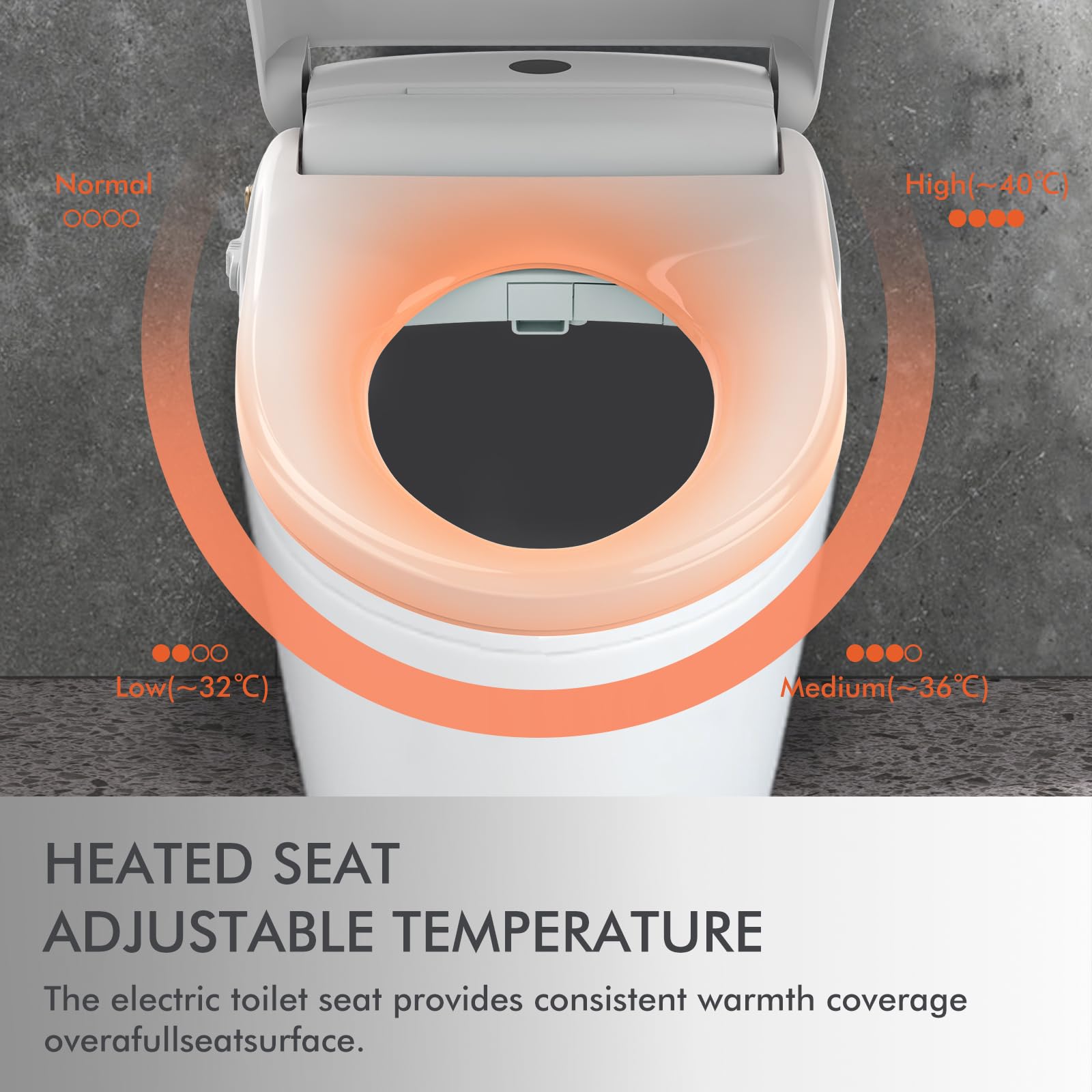 SWISH WEAVERS Smart Bidet Toilet Seat with Wireless Remote and Side Panel, Multiple Spray Modes, Adjustable Heated Seat, Warm Water and Air Dryer, Auto LED Nightlight, White