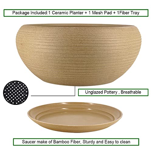 MUZHI 10” Round Large Ceramic Bonsai Bowl Planter,Clay Succulent Plant Pot Container with Saucer