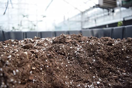 Natural Horticultural Perlite (1 Quart)