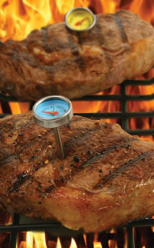 Norpro Mini Steak Thermometers, Set of 4, Silver