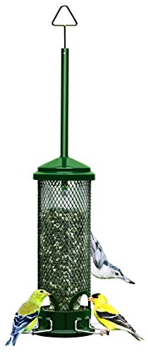 Squirrel Buster Mini Squirrel-Proof Bird Feeder w/4 Metal Perches, 0.98-Pound Seed Capacity & Wagner's 76027 Black Oil Sunflower Wild Bird Food, 25-Pound Bag