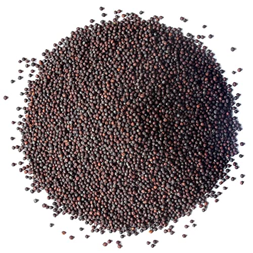 Organic Broccoli Seeds for Sprouting, 1 Pound β Non-GMO, Vegan, Kosher, Sirtfood, Bulk. Rich in Sulforaphane, Vitamin C. Grow Sprouts, Microgreens for Salads, and Sandwiches. High Germination Rate.