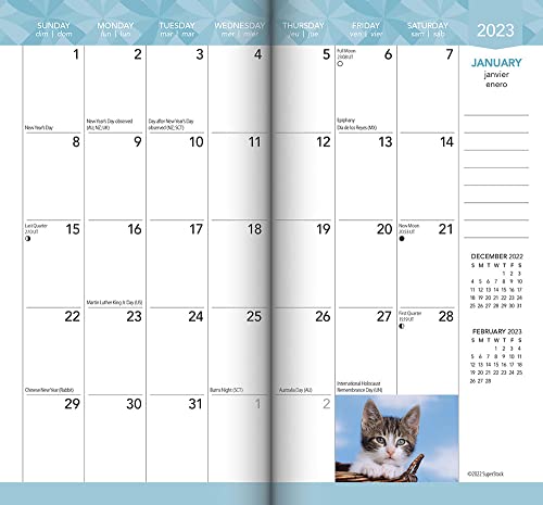 Kitten Cuddles | 2023-2024 3.5 x 6.5 Inch Two Year Monthly Pocket Planner | BrownTrout | Animals Cute Cat Feline