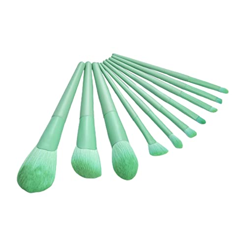 Spa Science Makeup Brush 10 Makeup Brushes Set Eyeshadow Brush Loose Powder Brush Small Fan Makeup Tools Oval Makeup Brushes