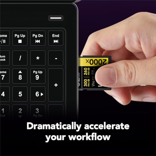 Lexar 32GB Professional 2000x SDHC Memory Card, UHS-II, C10, U3, V90, Full-HD & 8K Video, Up to 300MB/s Read, for DSLR, Cinema-Quality Video Cameras (LSD2000032G-BNNNU)
