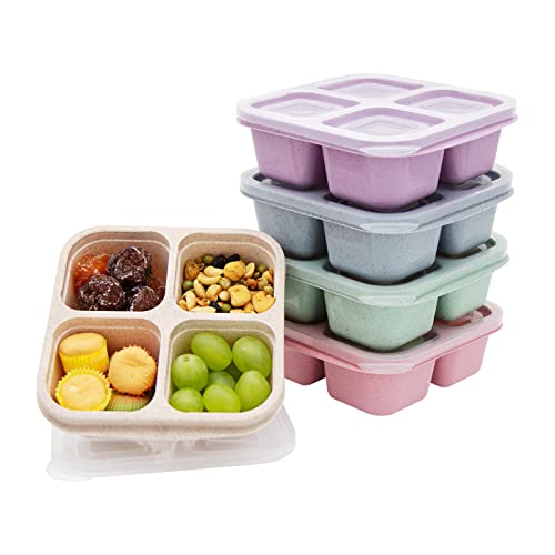 rngwaper 5 Pack Bento Lunch Box,4 Compartment Snack Containers,Divided Bento Snack Box,Meal Prep, Lunch Box Kids/Toddle/Adults,Food Storage Containers for School, Work and Travel (Multicolor-1)