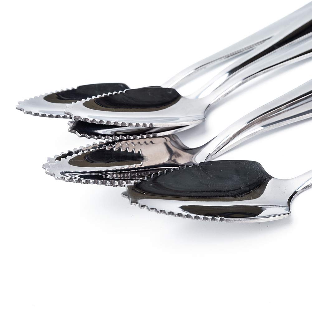 JUCOXO Grapefruit Spoons Set, 4 Pieces 6.1 inch Stainless Steel Half Serrated Citrus Fruit Vintage Dessert Spoons Gift for Kitchen