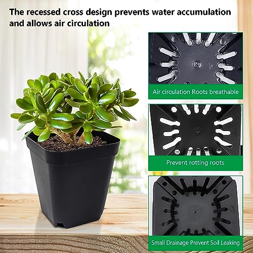 RooTrimmer Black 90-Pack 3.54 X 3.54 inches Square Nursery Seedling Flower Pot Plastic Thick Seed Start Germination Pot for Plant Propagation and Seeding,Sturdy Suit for 1020 Trays