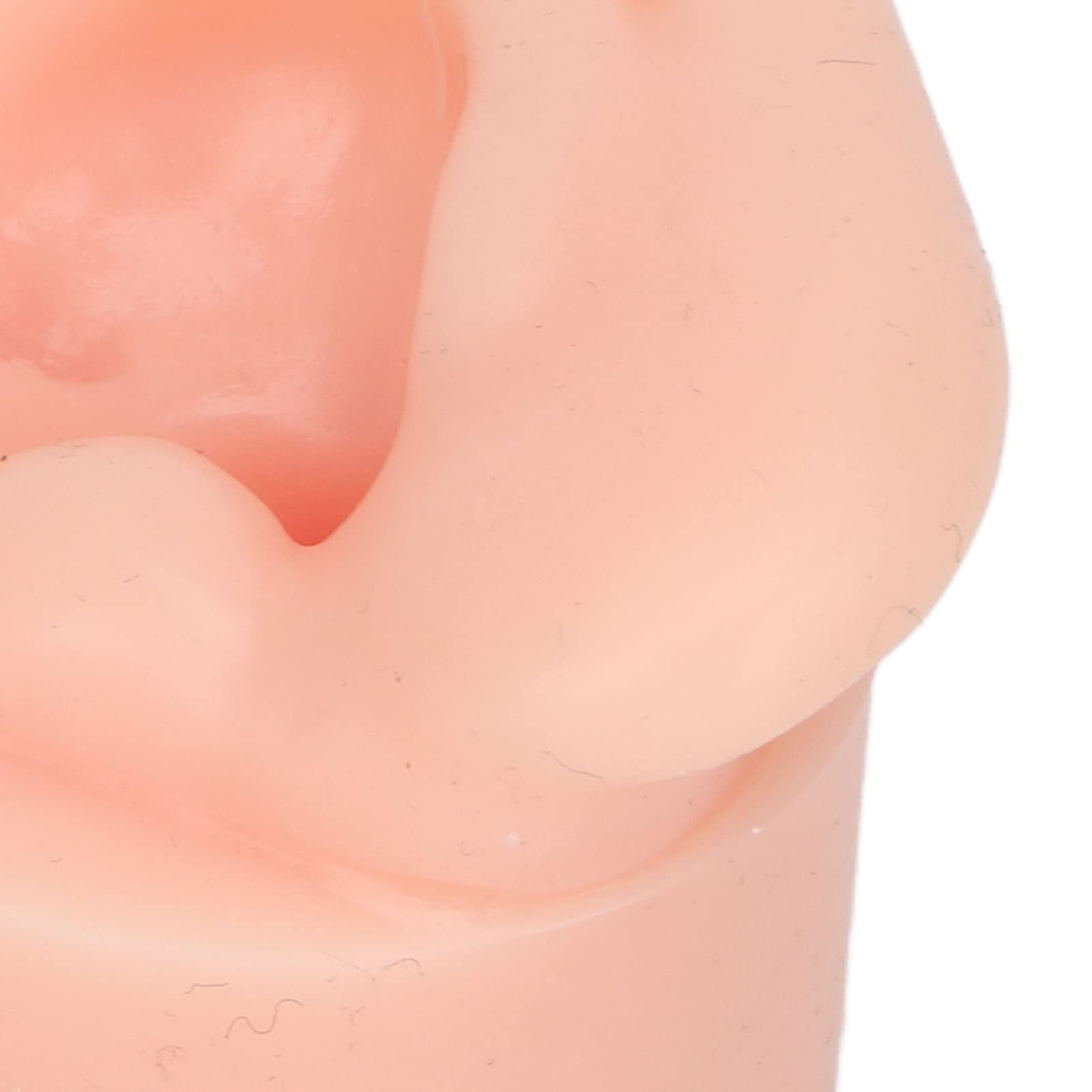 Piercing Ear Model Training Accessory Silicone Ear Model Soft Light Skin Color Reusable Long Ear Canal For Teacher For School (Right)