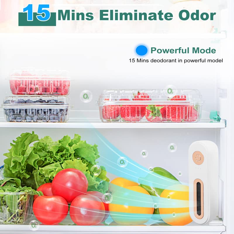NEWEST [4 in 1] Fridge Deodorizer - Refrigerator Air Freshener Reusable Fridgerator Deodorizer Odor Eliminator Outperforms Baking Soda for Fridge and Freezer & Bamboo Charcoal Air Purifying Bags