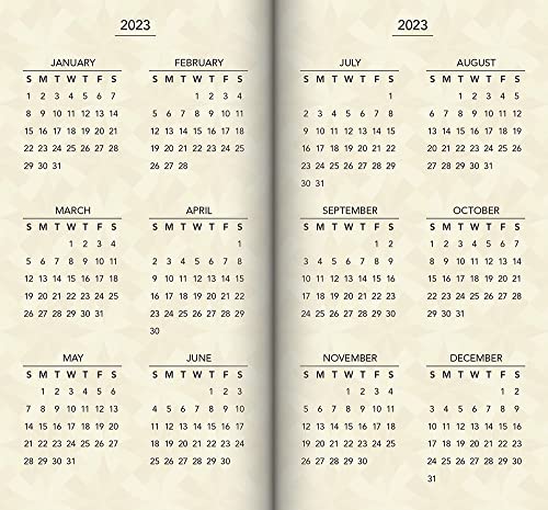 Kitten Cuddles | 2023-2024 3.5 x 6.5 Inch Two Year Monthly Pocket Planner | BrownTrout | Animals Cute Cat Feline