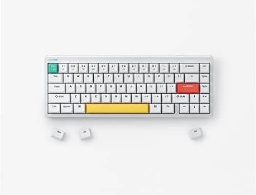 nuphy Halo65 Mechanical Gaming Keyboard with PBT Keycaps, 65% RGB Hot-swap Wireless Keyboard, Supports Bluetooth、2.4G and Wired Connection,Compatible with Mac and Windows-White(Baby Kangraoo Switch)