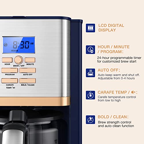 JOY Kitchen 12-Cup Digital Programmable Drip Coffee with Glass Carafe, Reusable Filter Basket & Coffee Spoon, Programmable up to 24 hours, Auto Warming & Self-Clean,Blue