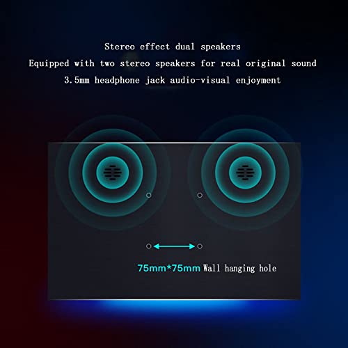 Portable Display External Notebook Mobile Phone Display Convenient Expansion Secondary Screen, 14/15.6in, 1080p/IPS Panel (Color : HDMI, Size : 14in)
