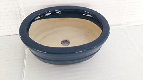 Oval blue Ceramic Bonsai Pot - Japanese Houtoku Brand - 5'' L / 4'' W / 2'' H