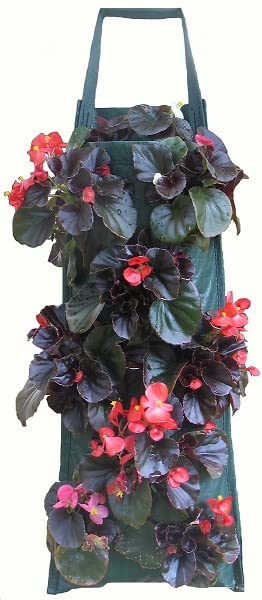 Nutley's Hanging Strawberry Growbag Planter (Pack of 2)