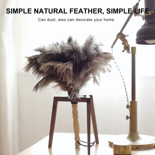 SetSail Feather Duster, Fluffy Natural Ostrich Feather Dusters for Cleaning with Wooden Handle Eco-Friendly Feather Duster Cleaning Supplies for Furniture, Car, Collectibles...