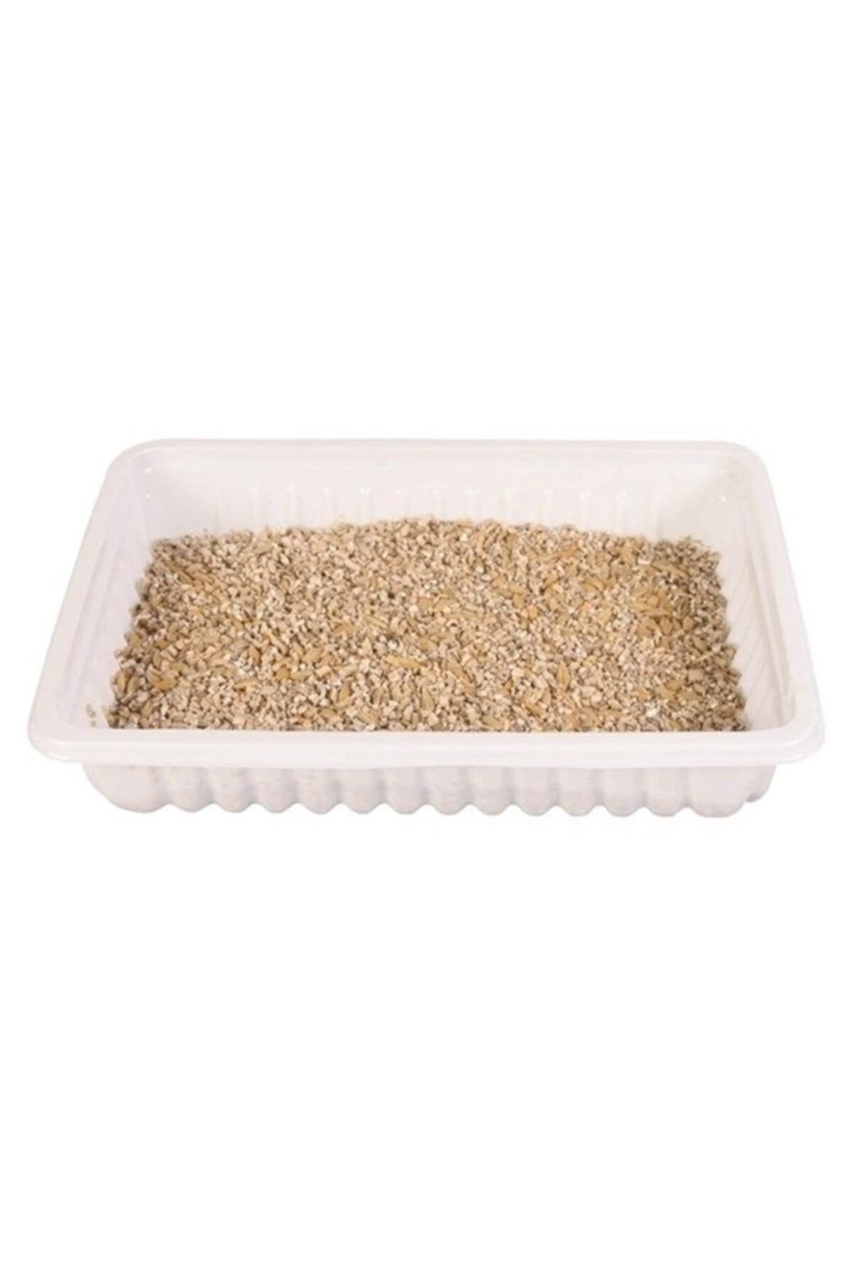 Trixie Cat Grass 100G (Including Tray)