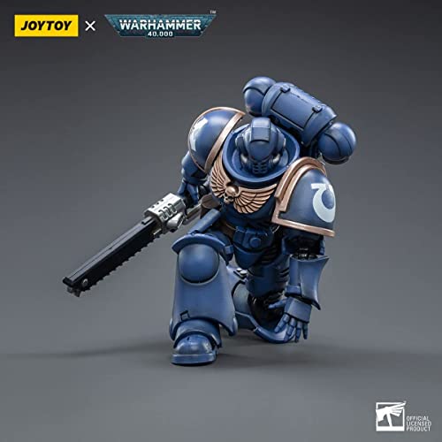 JoyToy Warhammer 40K 1/18 Action Figure Space Marines Ultramarines Model(Brother Catonus), Blue (JT2825)