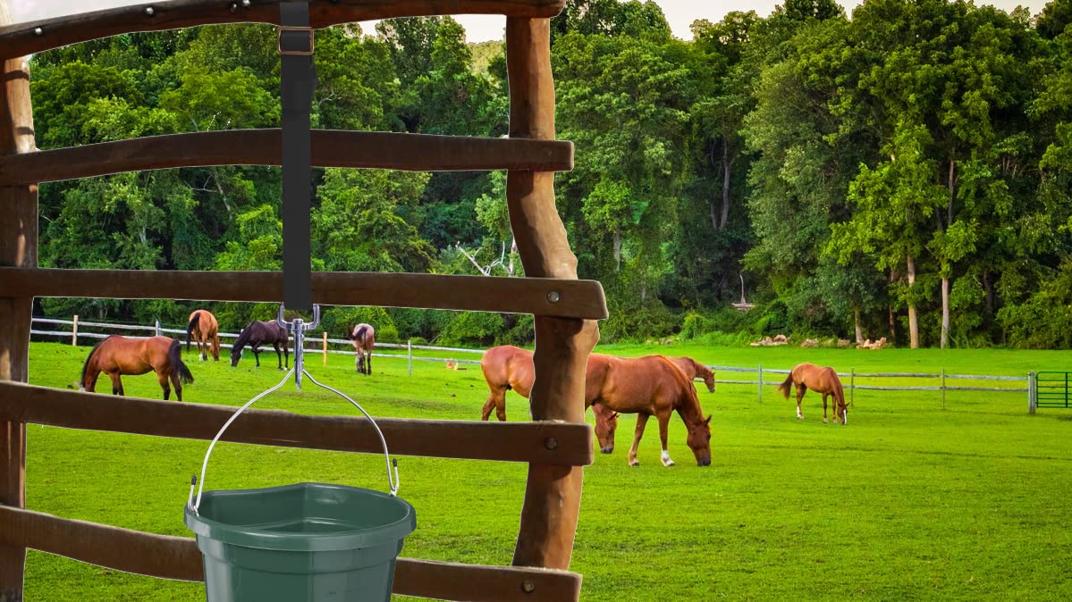 Loaged Adjustable Nylon Bucket Strap (5 Pack)- for Hay Nets, Water Buckets, Hanging Strap,Horse Outdoor Feeders,Heavy Duty Horse Water Feed, 30"