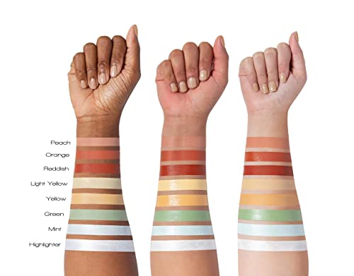 L.A. Girl Pro Conceal HD Concealer,0.28 Ounce (Orange Corrector)